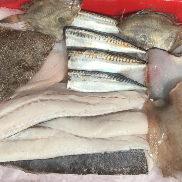 The fish box club - have a box of fresh cornish fish delivered to your ...