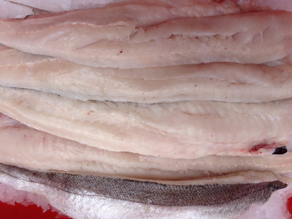 Hake galore! | Blog | Fresh Cornish Fish