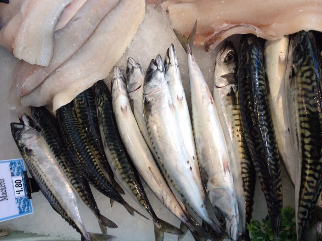 Fresh Cornish line caught Mackerel | Fish High in Omega 3, Locals ...