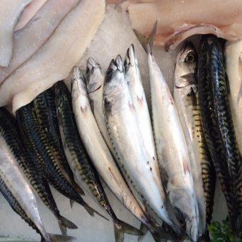 Fresh Cornish line caught Mackerel. | Fish High in Omega 3 | Fresh ...