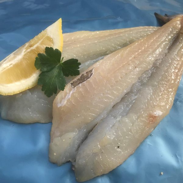 Megrim sole - Cornish Soles !! | Flat Fish, Locals | Fresh Cornish Fish