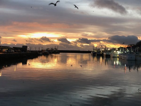 Welcome to Fresh Cornish Fish | Fresh Cornish Fish